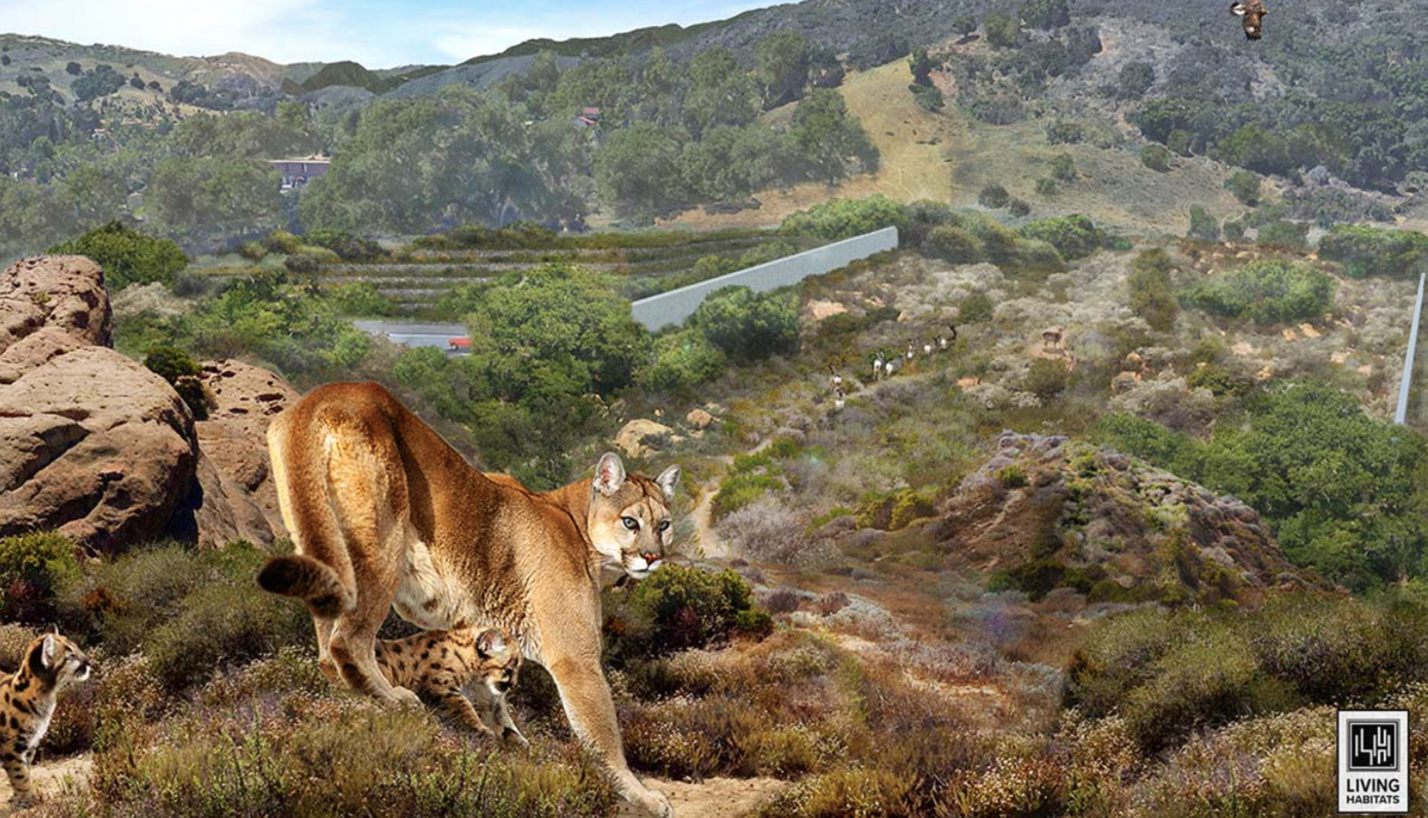 World’s Largest Wildlife Crossing Set to Break Ground in Agoura Hills ...